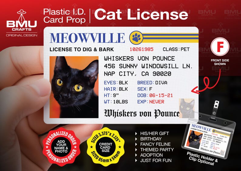 Custom Cat Driver’s License - Personalized Pet ID Card for Fun & Play ...