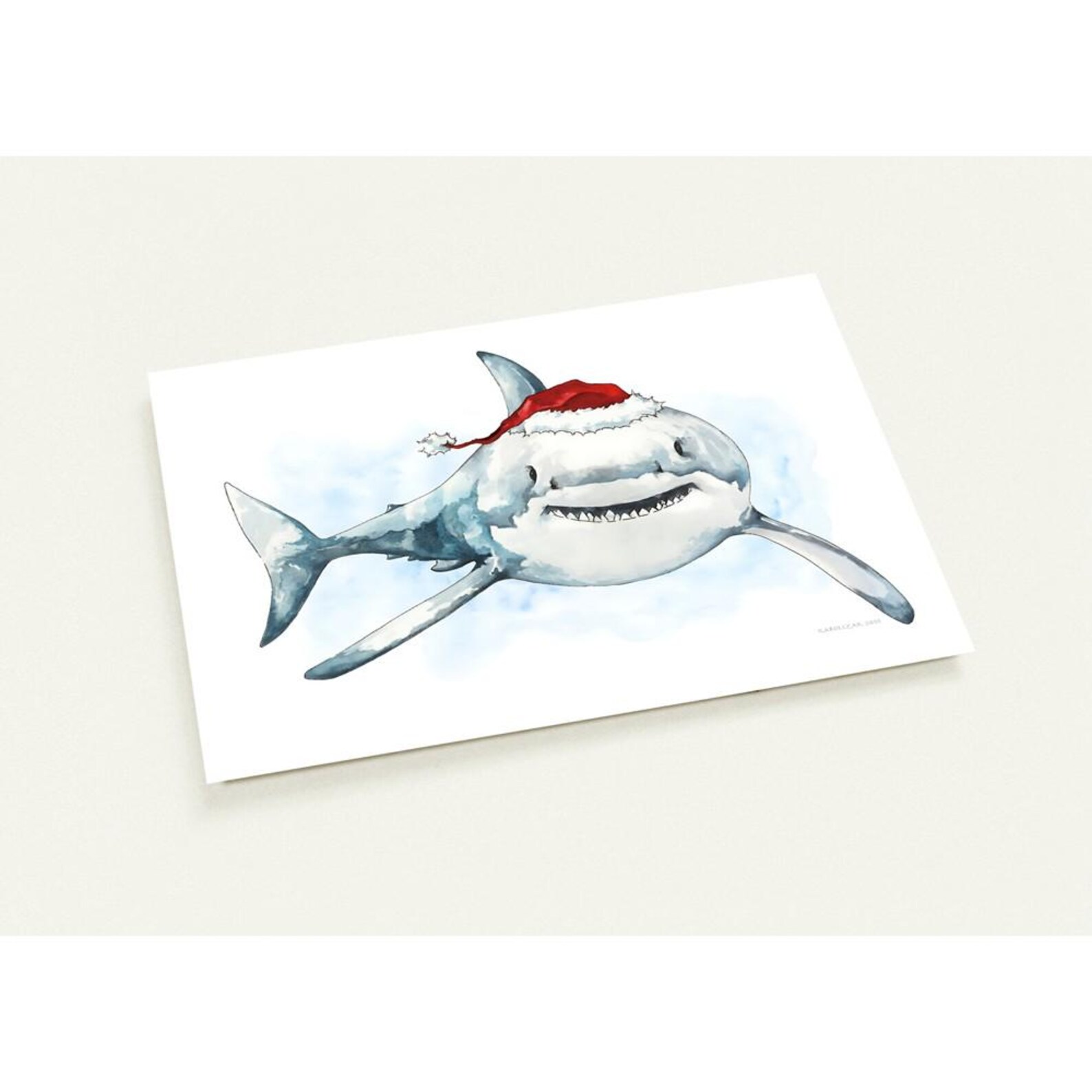 Santa Shark Christmas Cards | Set of 10 | Hand-drawn Shark Illustration ...