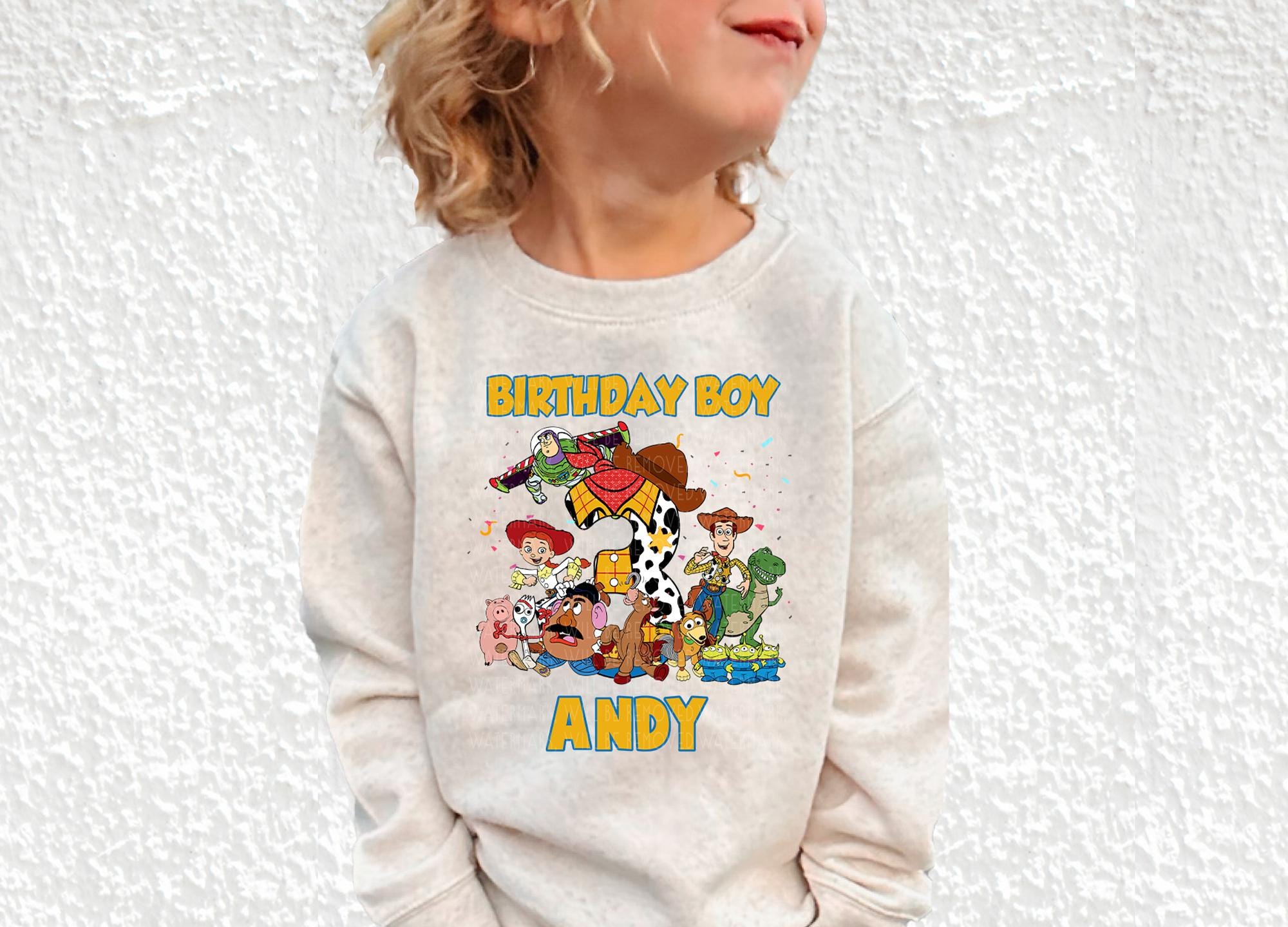 Custom Toy Story Birthday Boy Shirt Disney Birthday Sweatshirt Custom ...
