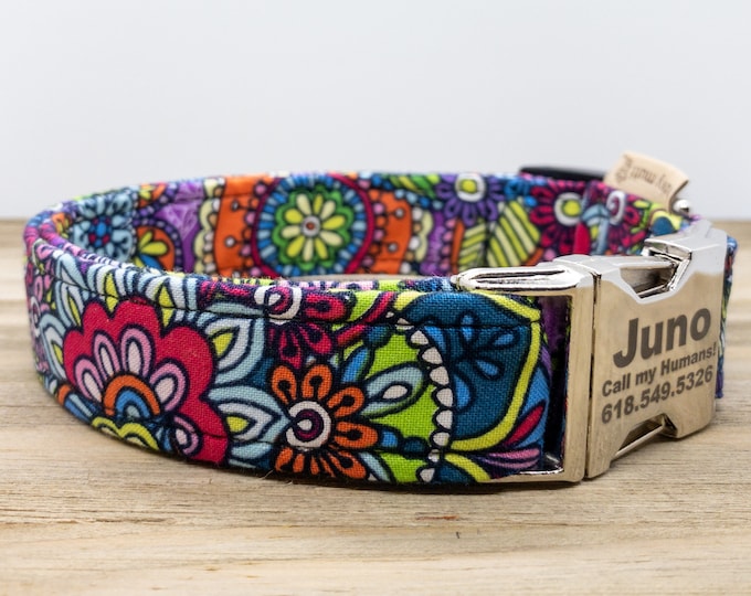 Bohemian Rhapsody Colorful Collar Purple, Azure, Cobalt, Neon Green ...