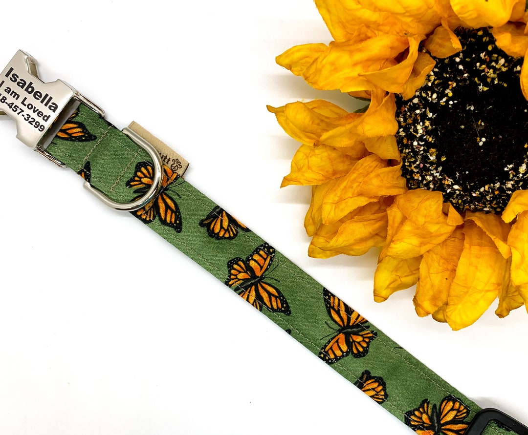Monarch Butterfly on Sage Green - Colors of Fall Collar- Personalized ...
