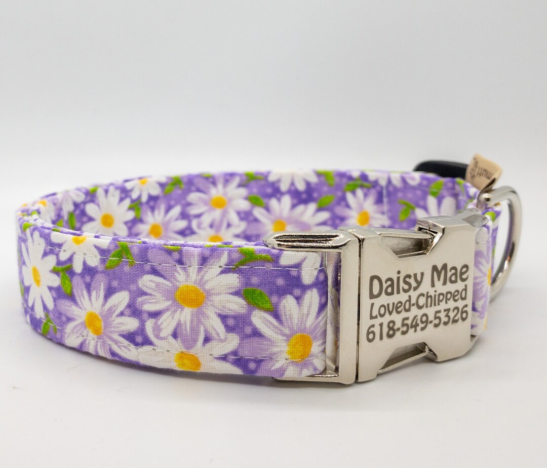 Lavender Dainty Daisy Handcrafted Collar for Girl Dogs - Light Purple ...