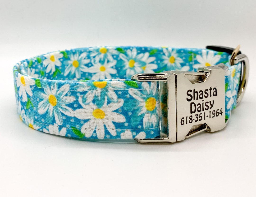 Sea Glass Green Daisy Collar- Shasta Daisy Collar - Gift for Dog Mom ...