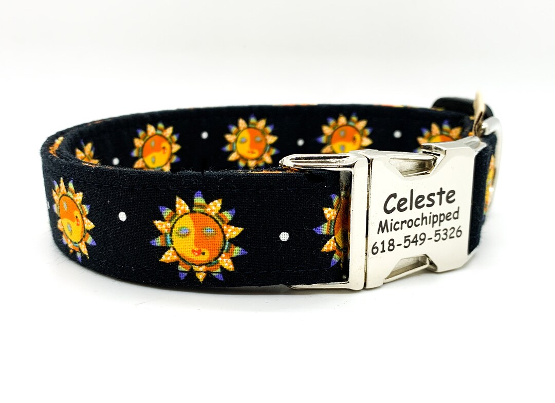 Tuscan Sun Spanish Style Dog Collar for All Breeds - Personalization ...