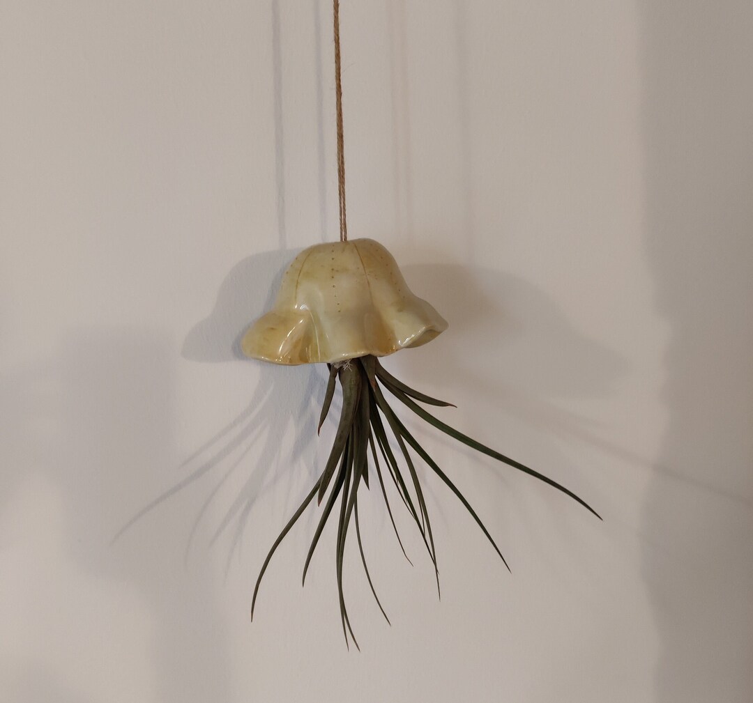 Outdoor Pots for Air Plants, Ceramic, Colorful, Jellyfish-shaped Pots ...