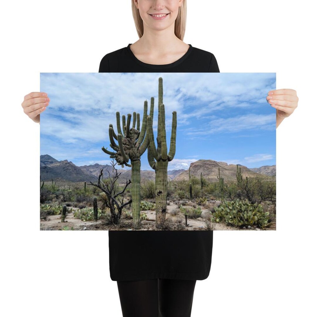 Arizona Crested Saguaro Landscape Poster - Etsy