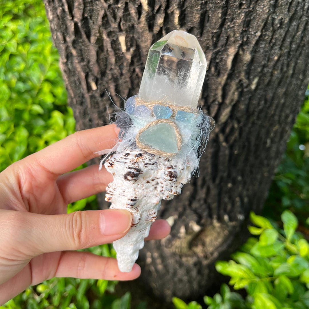 Sold-sea Witch Turricula Nelliae Spurius Clear Quartz Wand Natural ...