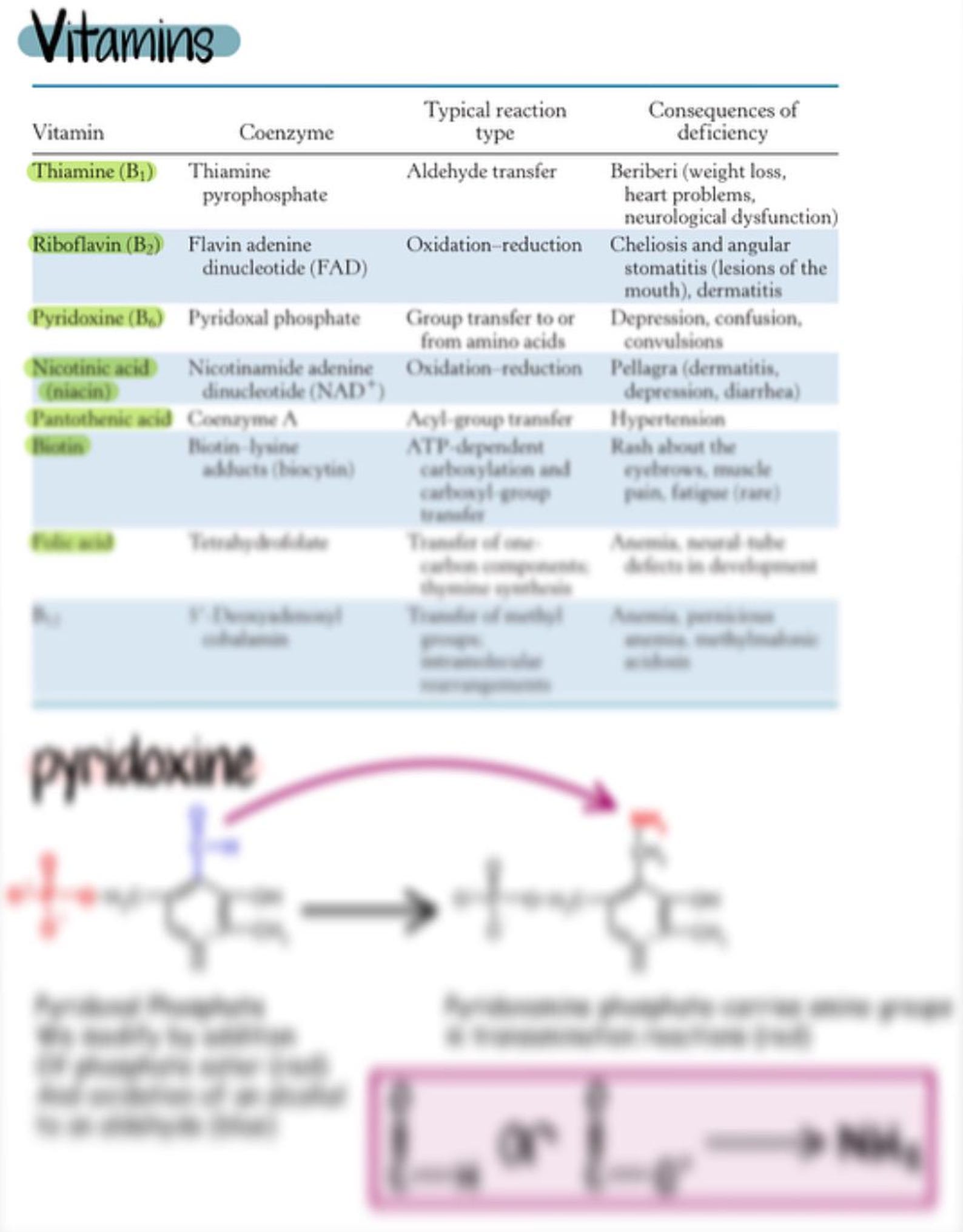 Biochemistry Vitamin Notes - Etsy