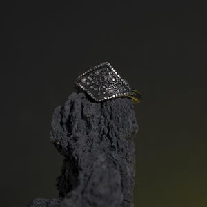 EXCLUSIVE Fanmade Dark Souls - Ring of Favor and Protection, Custom 950 ...