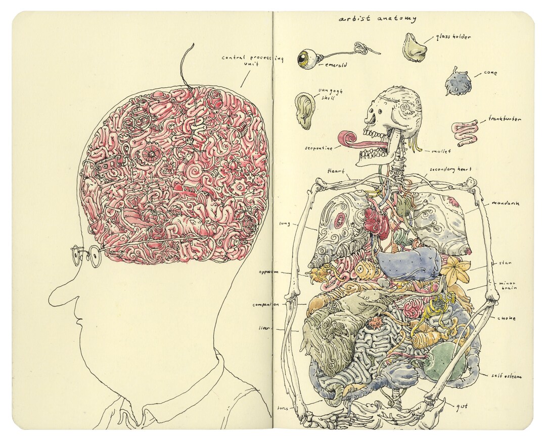 Artist Anatomy - Etsy