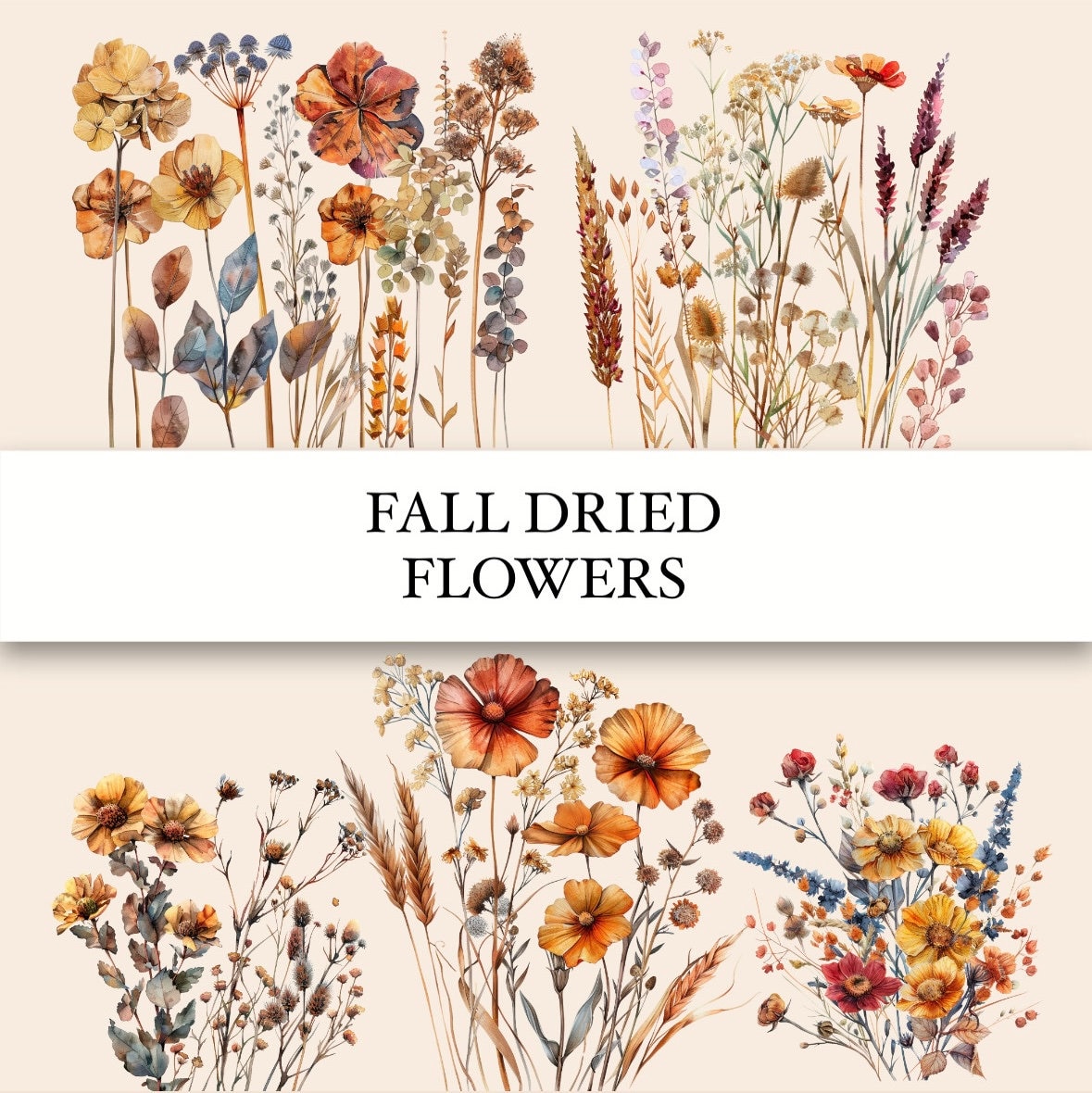 Fall Dried Flowers Watercolor Clipart, 8 Transparent PNG, Digital ...