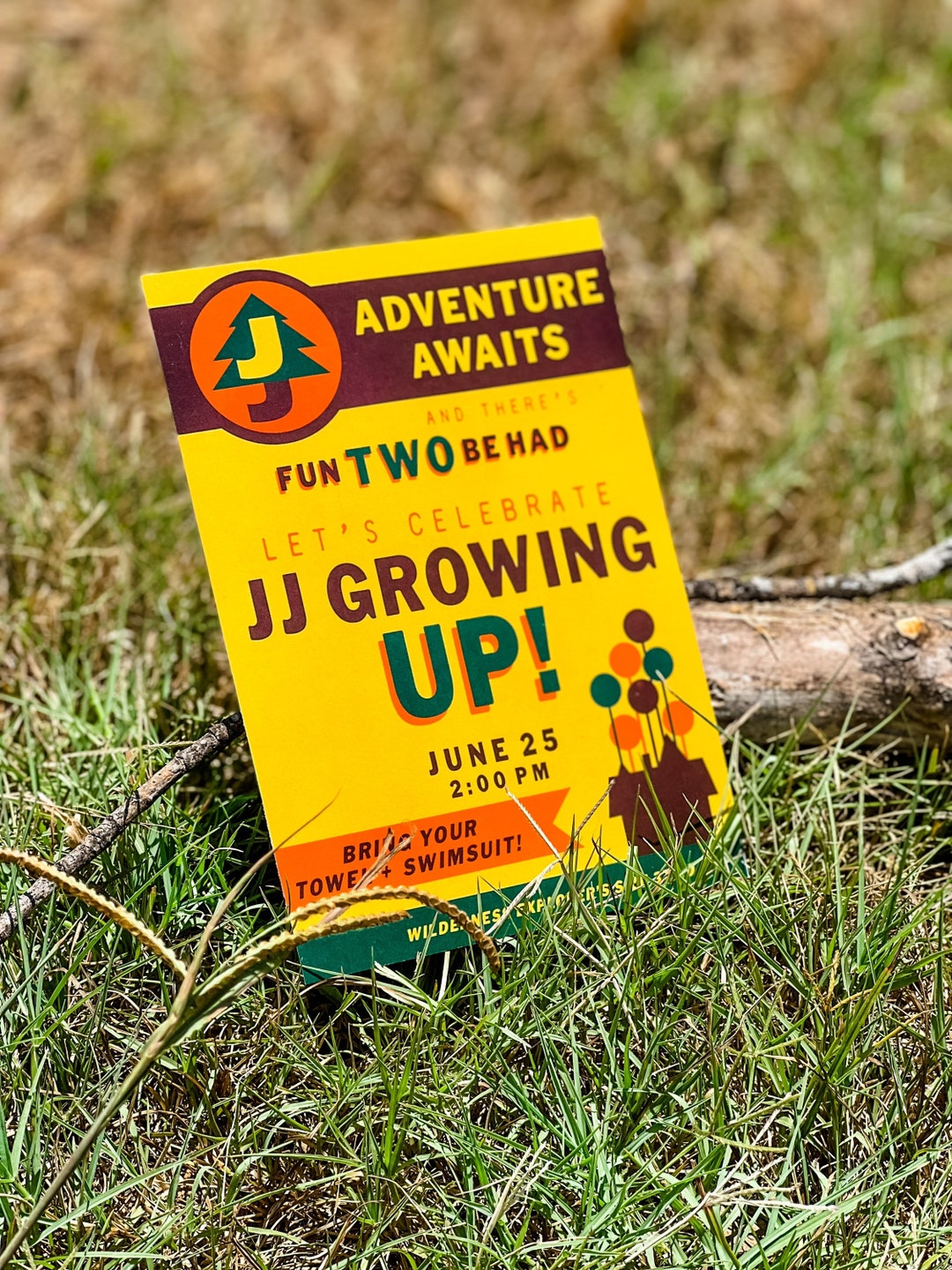 DIGITAL FILE - Custom Disney UP Birthday Party Invitation - Wilderness ...