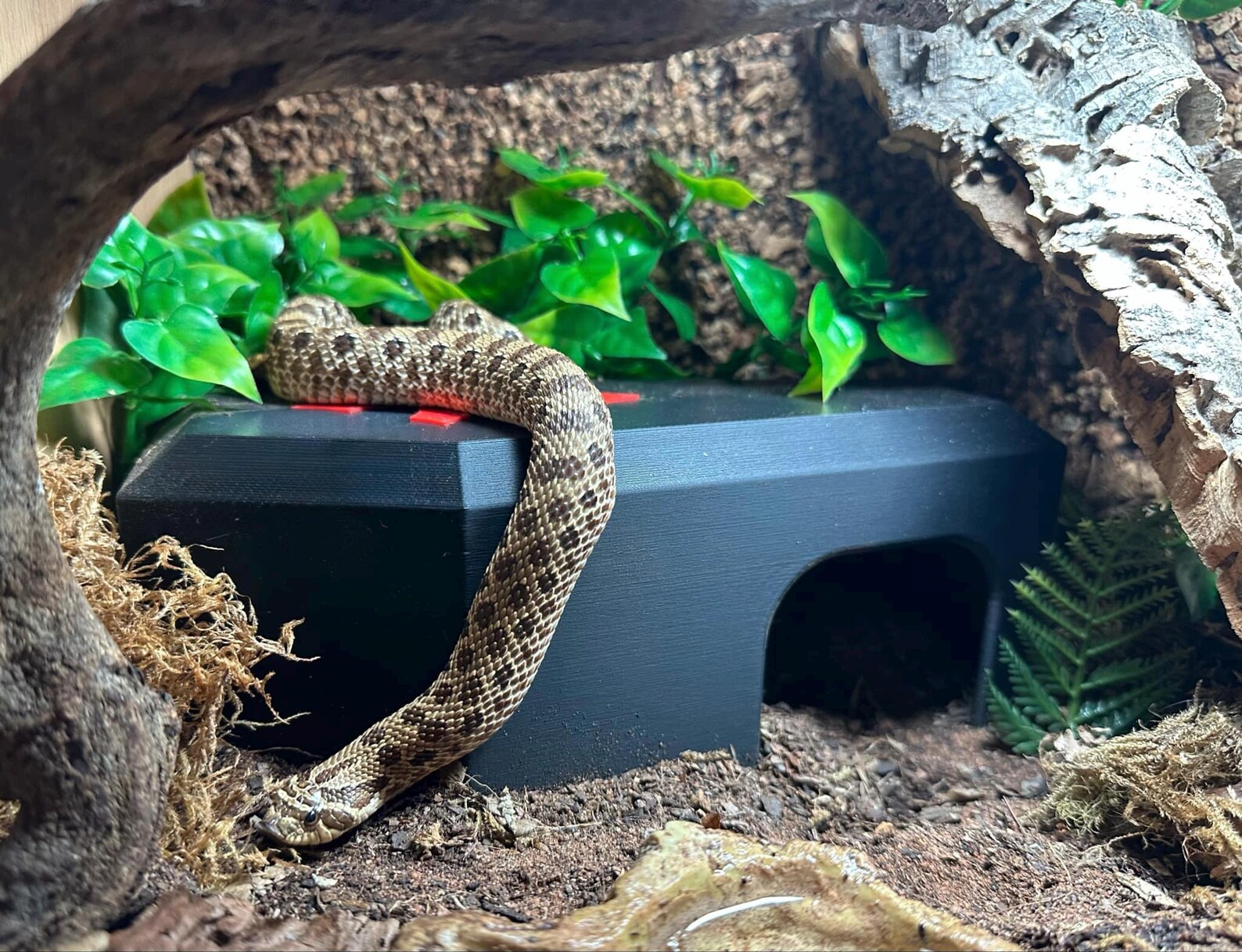 Reptile Coffin Hide | 3D Printed Gothic Enclosure Decor for Snakes ...