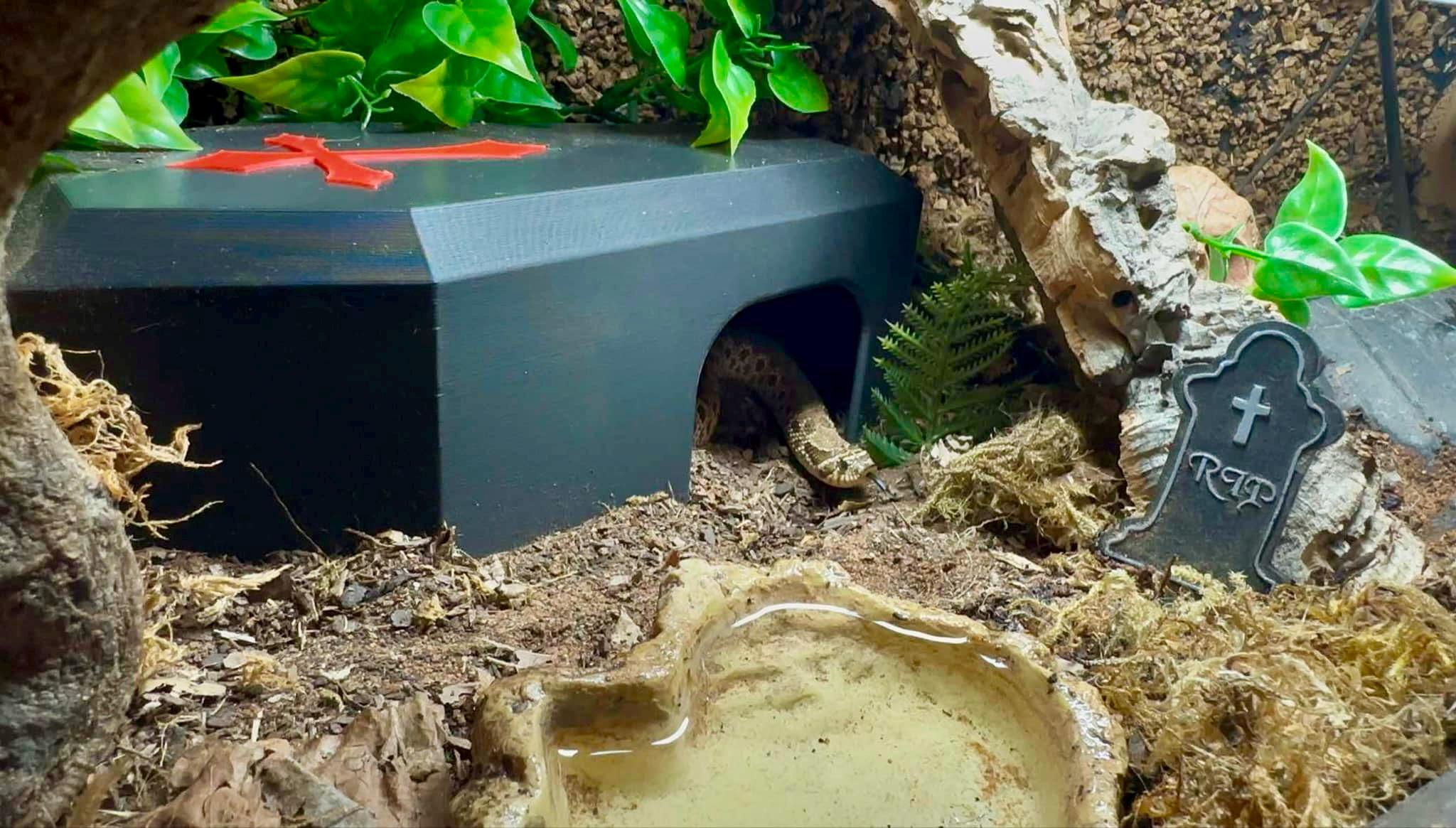 Reptile Coffin Hide | 3D Printed Gothic Enclosure Decor for Snakes ...