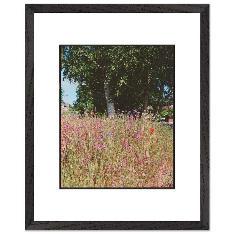 Fine Art Photography Print Colour Wall Art, Wild Flowers, Street ...