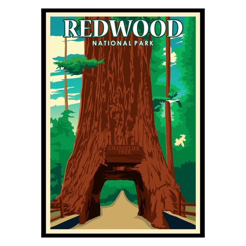 Redwood National Park US Poster - Etsy