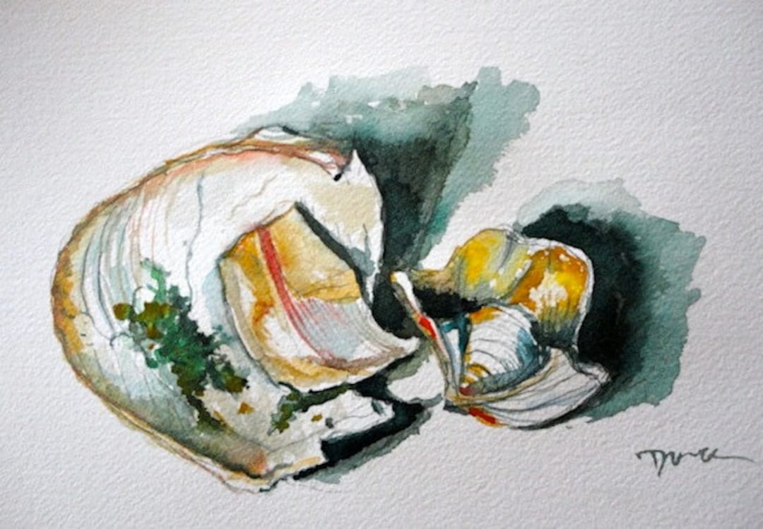 Beach Shells Beach Scene Painting Watercolor Still Life 8x12 - Etsy