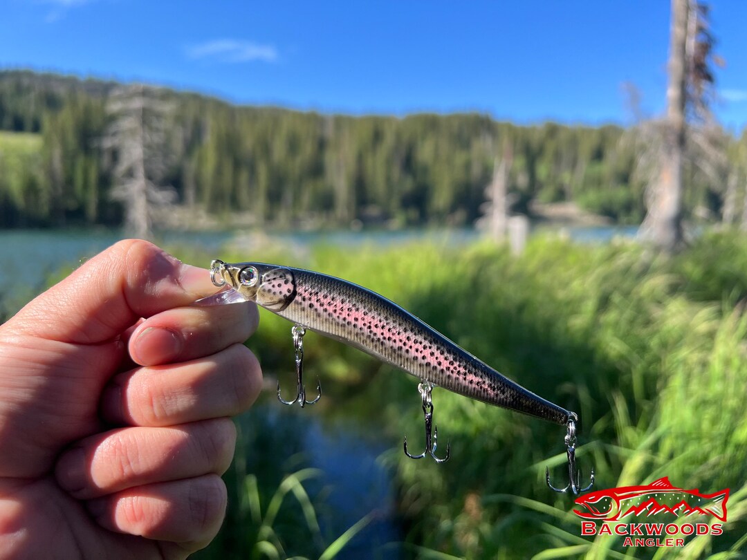 Backwoods Angler Rainbow Vision 110 Lure - Etsy