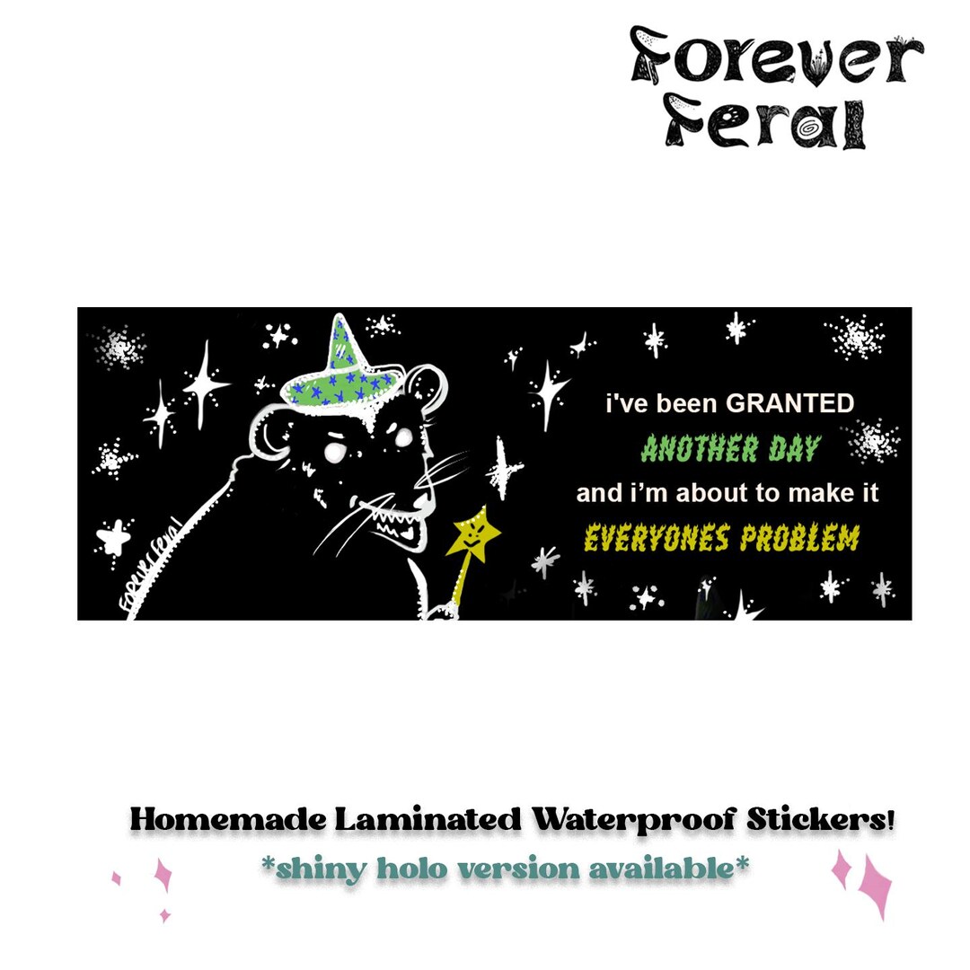 Another Day Wizard Possum Bumper Sticker, Funny Bumper Sticker ...