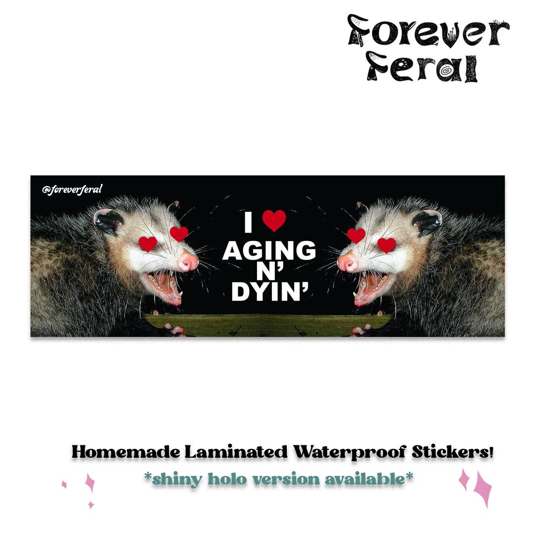 Funny Possum Bumper Sticker: I HEART AGING N DYIN, Waterproof - Etsy