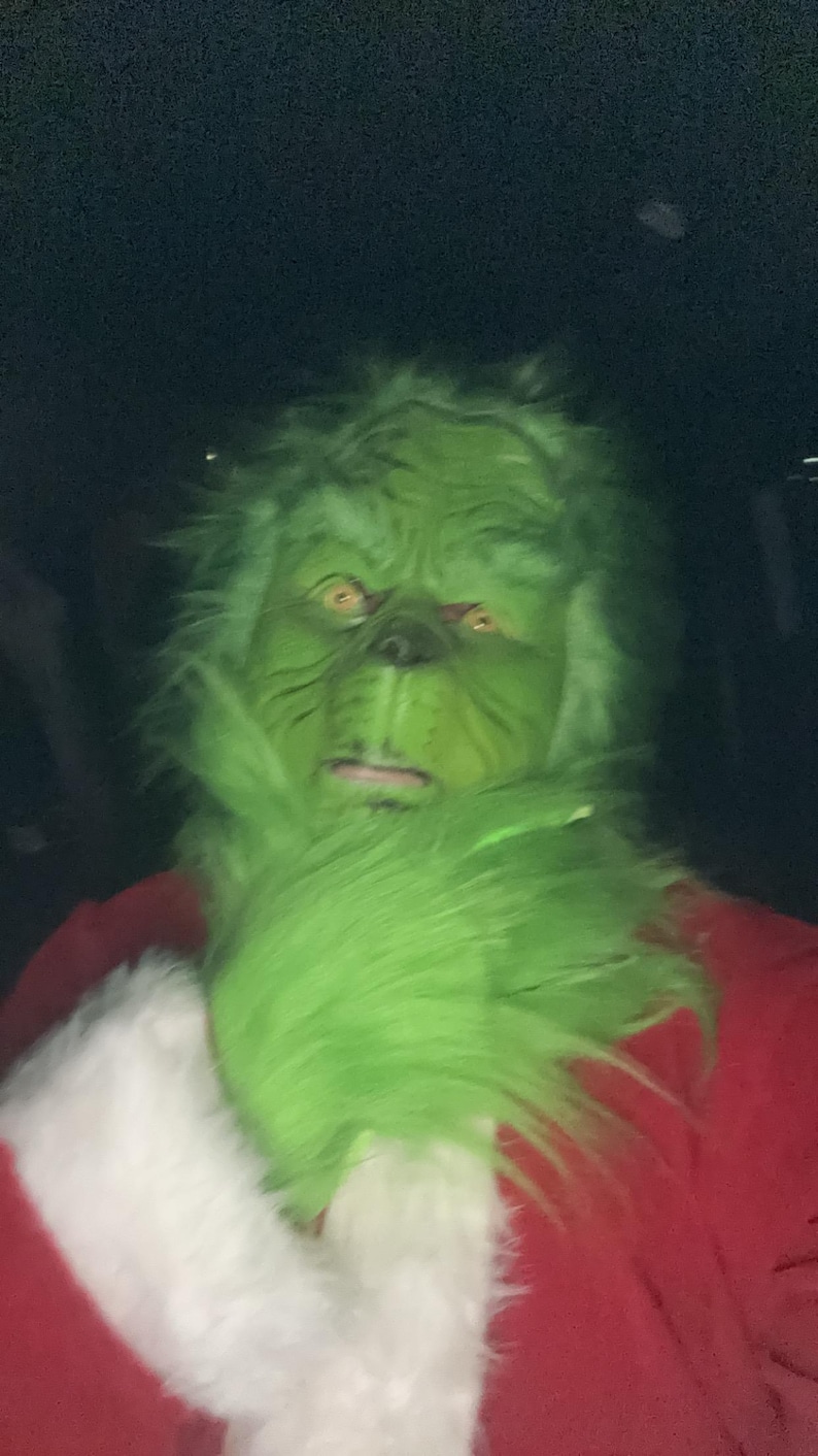 Grinch Mask - Etsy