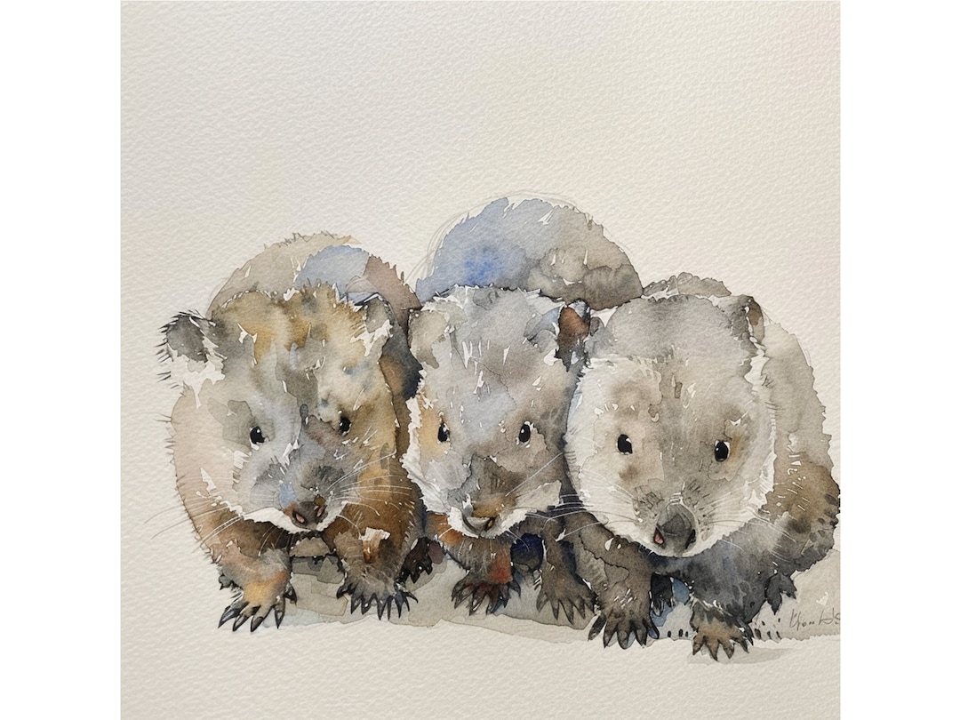 Cute Wombat Clipart, Wombat, Animal, Watercolor, Digital Art Bundle - Etsy