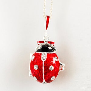 Ladybug Locket, Heart Surprise Pendant, Egg Locket Red Black Ladybird ...