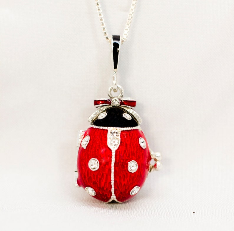 Ladybug Locket, Heart Surprise Pendant, Egg Locket Red Black Ladybird ...