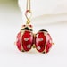 Ladybug Locket, Heart Surprise Pendant, Egg Locket Red Black Ladybird ...