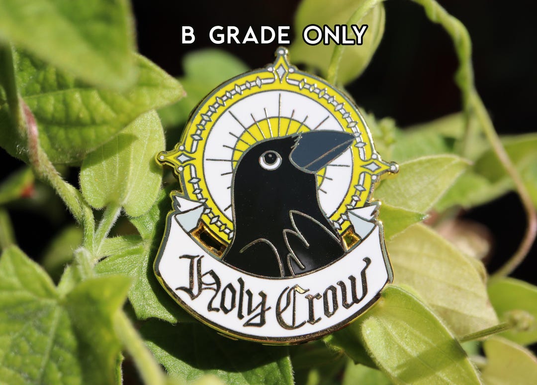 Holy Crow - Hard Enamel Pin - B GRADE ONLY - Etsy