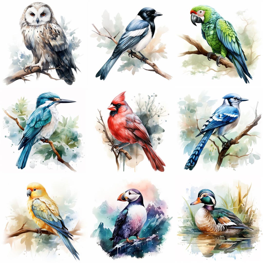 Watercolor Birds AI Prompts Guide Prompts Midjourney Prompts - Etsy
