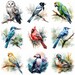 Watercolor Birds AI Prompts Guide Prompts Midjourney Prompts - Etsy