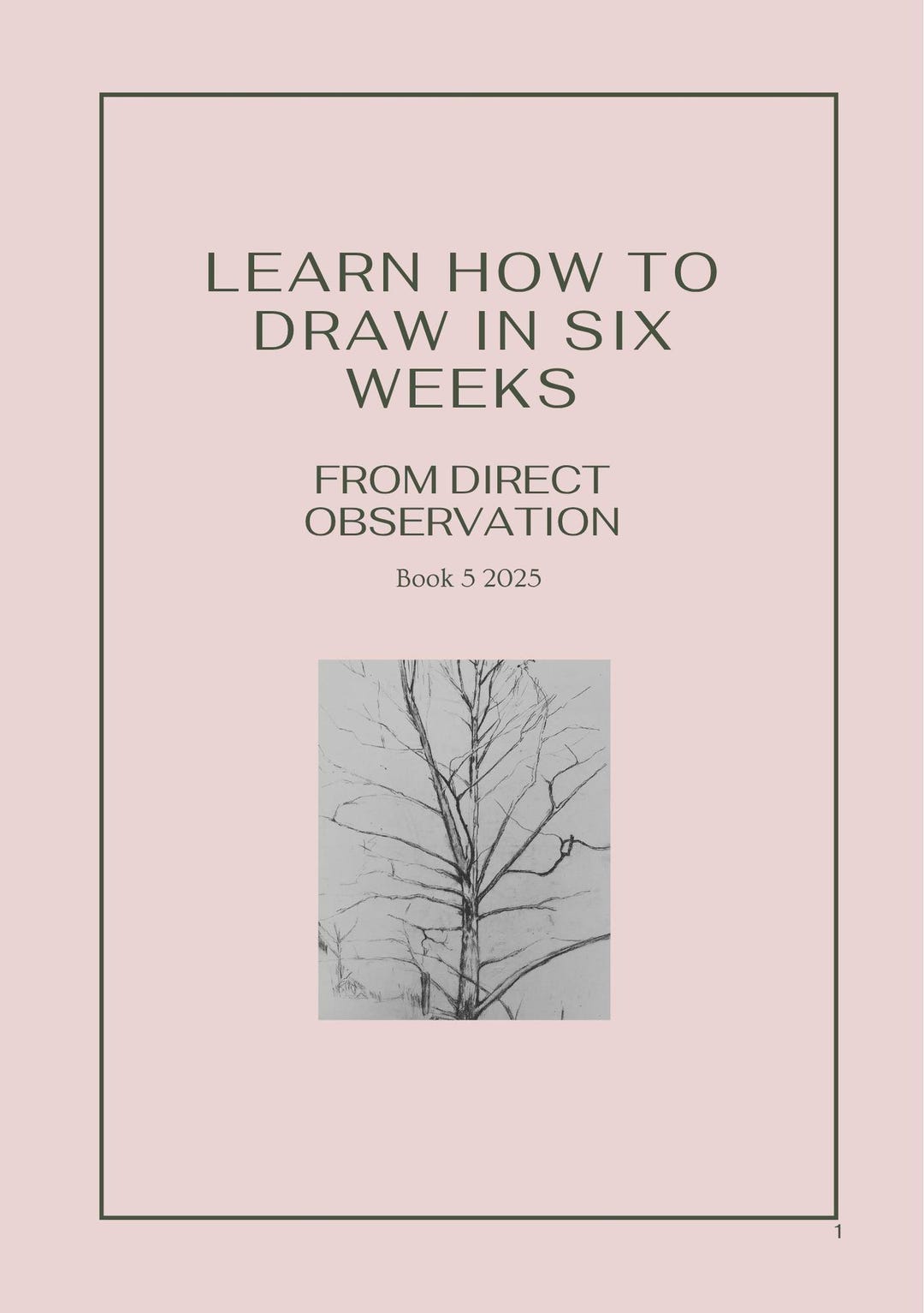 Learn How to Draw in Six Weeks - A5 Booklet - Etsy