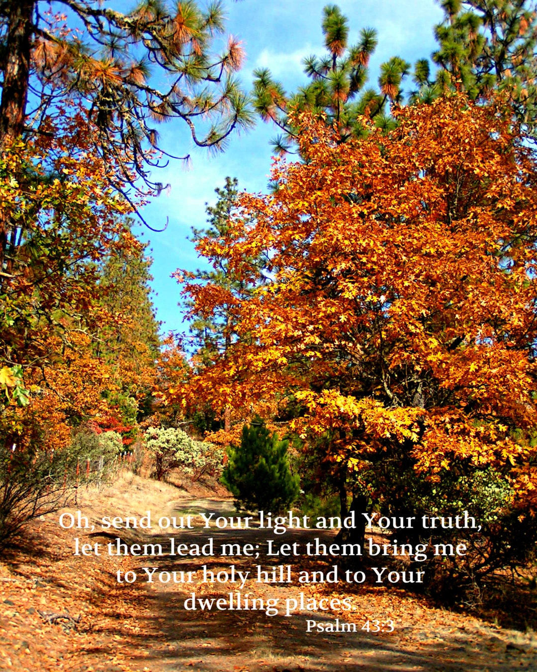 Fall Landscape With Bible Verse Print 8x10 Creationarts - Etsy