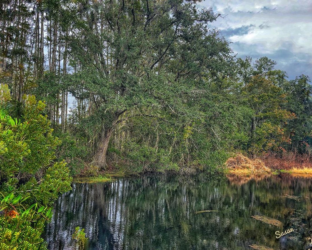Wall Art - Reflection's - Nature's Landscape - Pristine and Peaceful ...