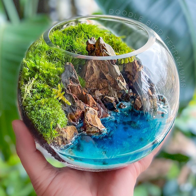 DoodleBirdTerrariums - Etsy