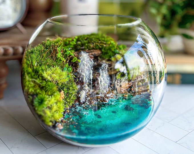 Doodle Bird Terrariums