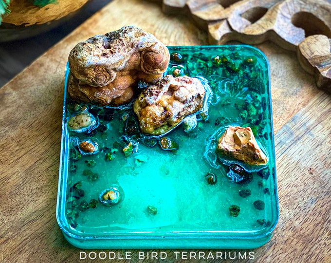 Large Square Ocean Waterfall Insert for Terrariums & Fairy Gardens - Etsy