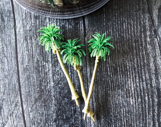 Doodle Bird Terrariums