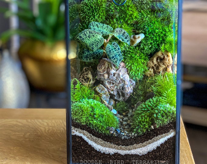 Doodle Bird Terrariums