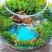 Island Oasis Terrarium With Live Plants - Etsy