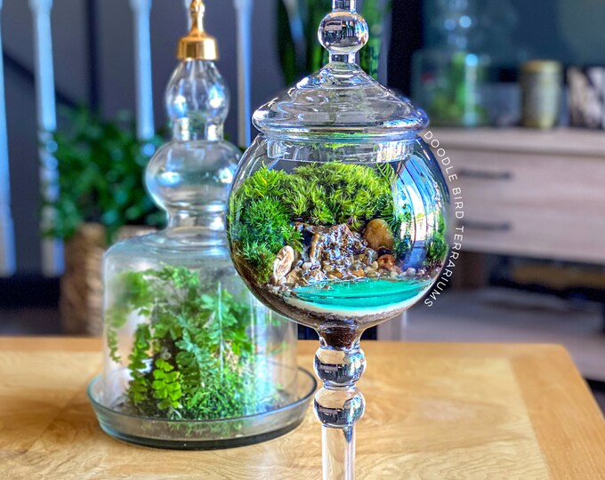 Doodle Bird Terrariums