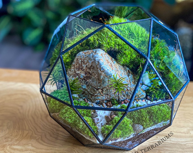 Doodle Bird Terrariums