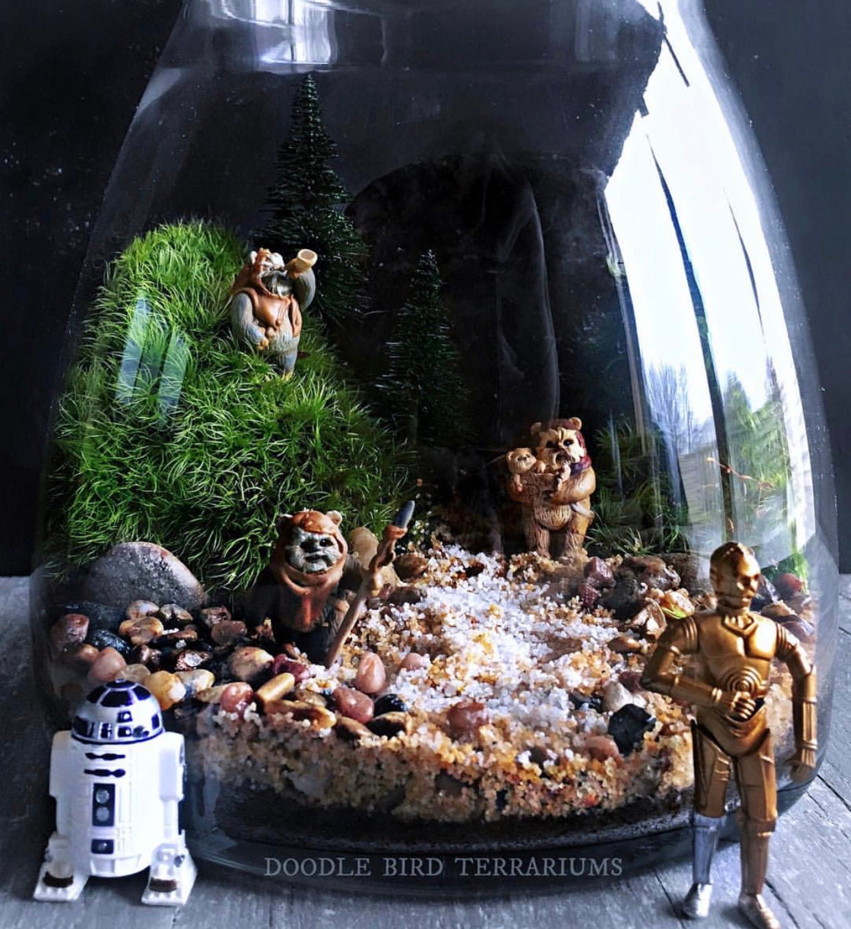 Last minute deal: Star Wars terrarium