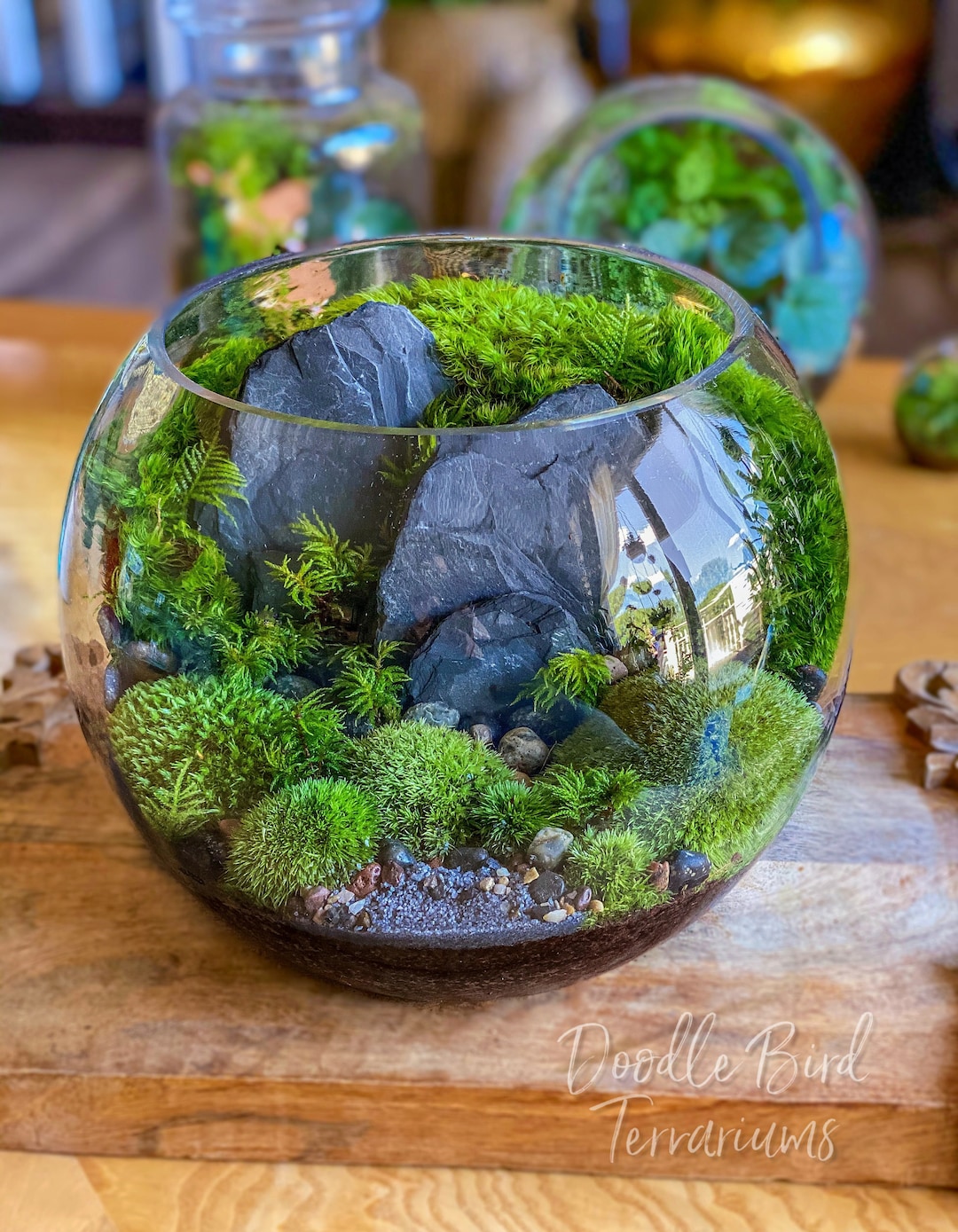 Moss Terrarium Bio-bowl: Miniature Live Plant Landscape With Easy Care ...