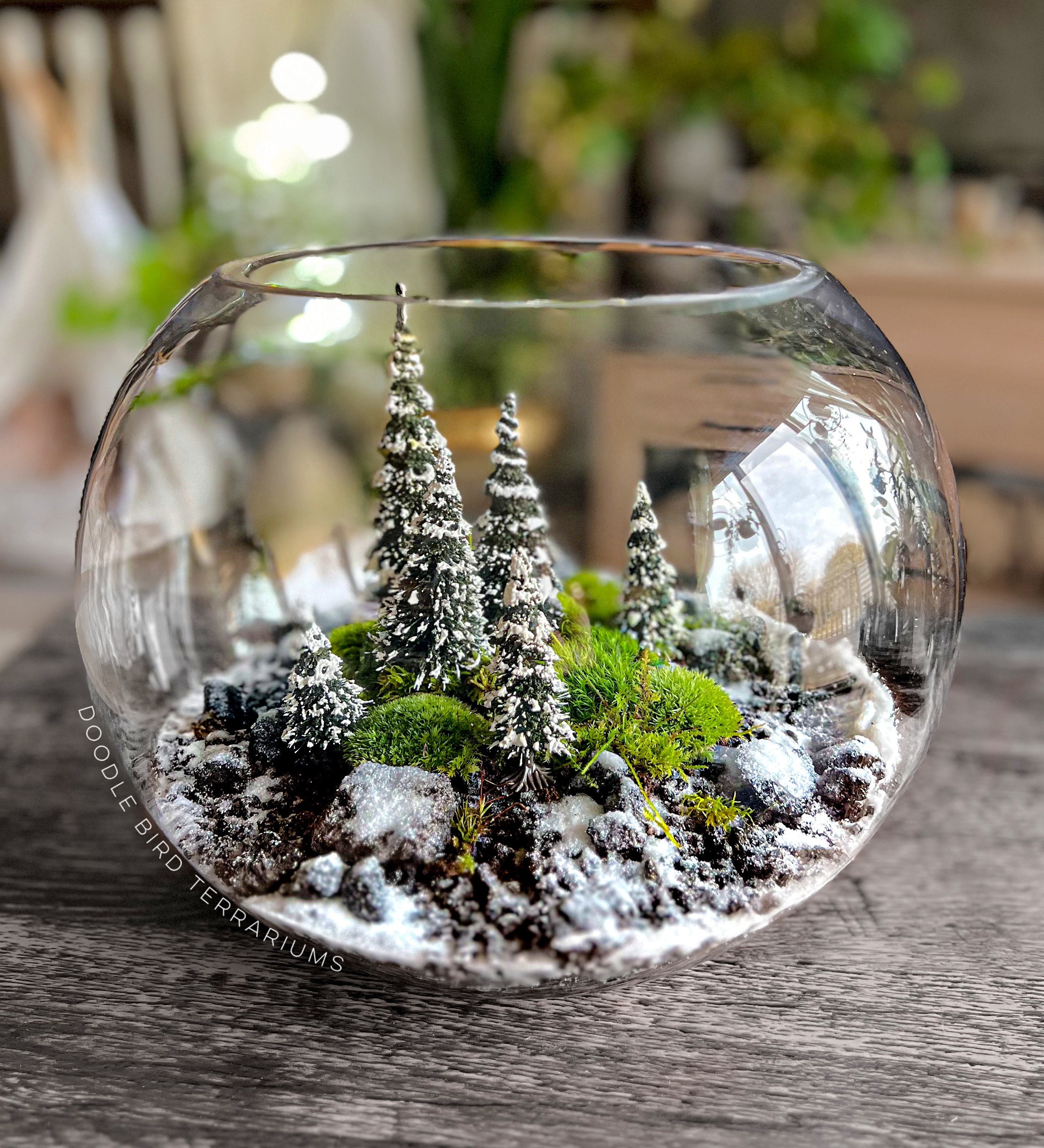 Snow Globe Terrarium Winter Wonderland with Faux Pine Trees and Live Moss