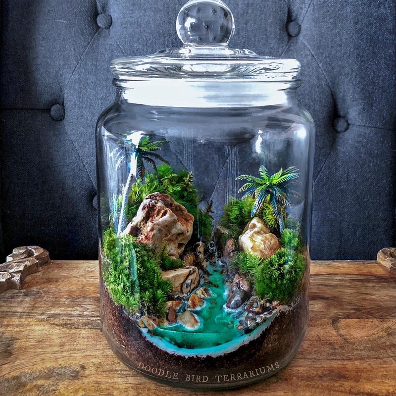 DoodleBirdTerrariums - Etsy
