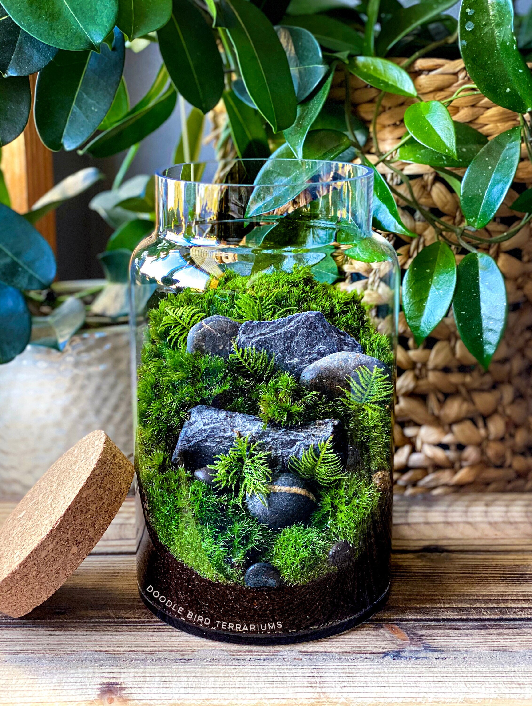 Woodland Moss Terrarium in Large Glass Pillar