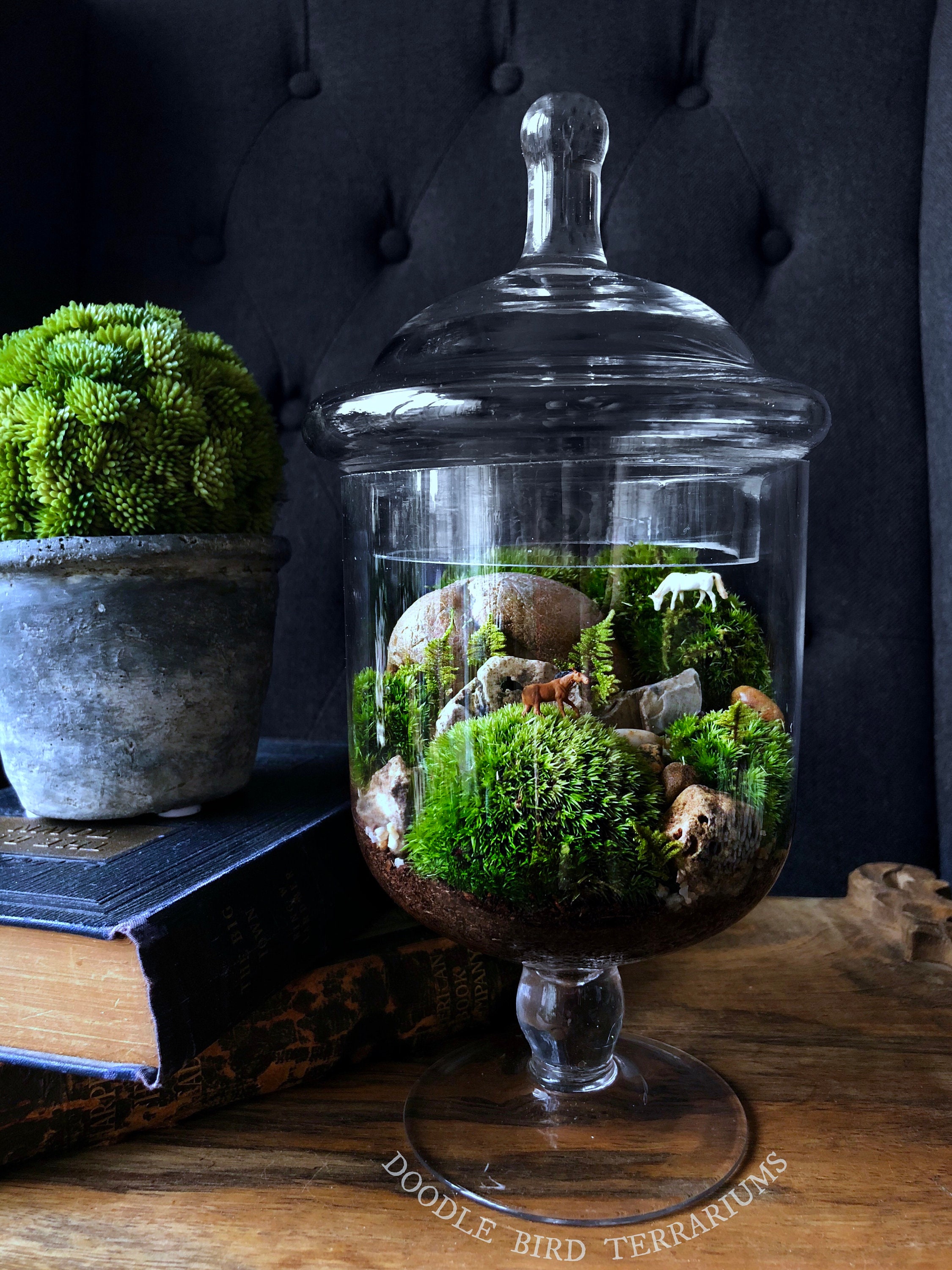 Grazing Horses Terrarium with Live Plants: Limited Edition
