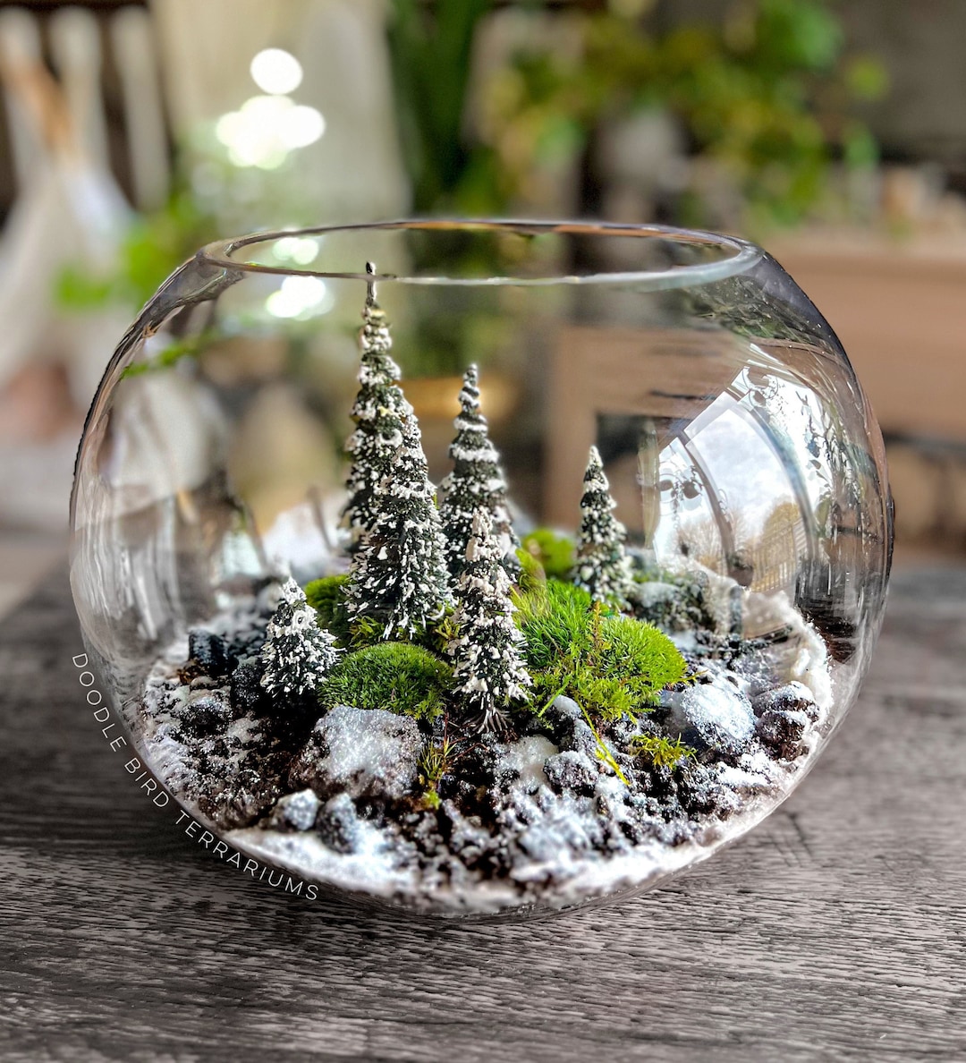 Miniature Winter Pine Forest Terrarium: Handcrafted Snow Globe ...